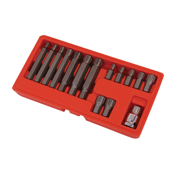 CT0120 - 15pc Ribe Bit Set — Neilsen Tools