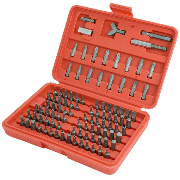 CT1036 - 100pc Security Bit Set — Neilsen Tools